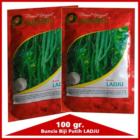 Jual Sekitar 350 Biji Benih Buncis Biji Putih Ladju 100 Gram Bibit Buncis Shopee Indonesia
