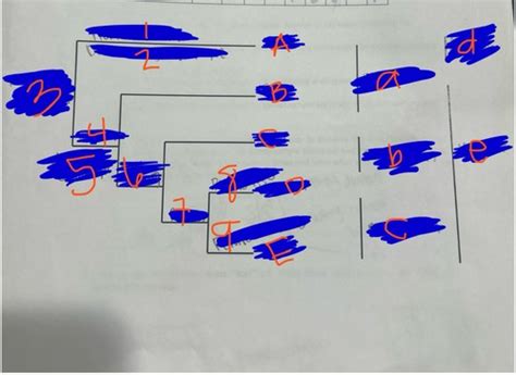 Biol 1108 Lab 7 Flashcards Quizlet