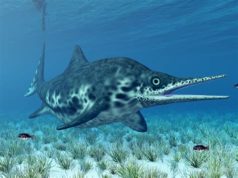 A Giant Ichthyosaur Largest Ever Marine Reptile The Institute For