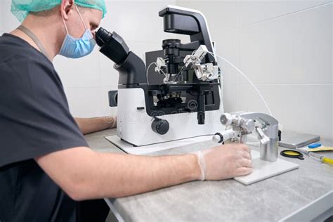 Embryologist Behind The Procedure Of Fertilization Of The Egg Stock