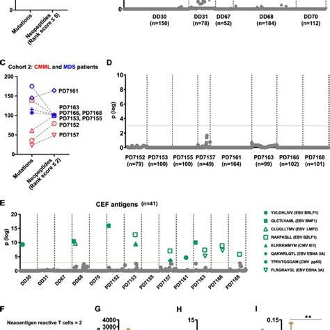 Neoantigen Reactive Cd8 T Cells Identified In Hematological Download Scientific Diagram