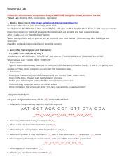 DNA Virtual Lab Docx DNA Virtual Lab Follow The Directions For Assignment Analysis BEFORE
