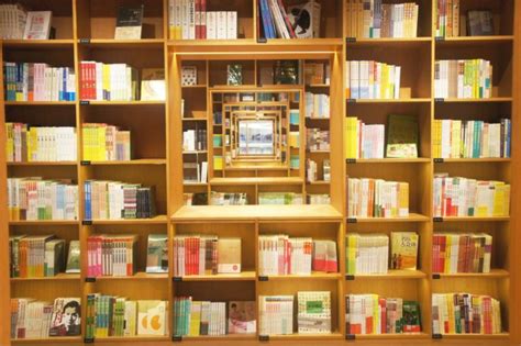 Data Catalog Vs Data Dictionary 5 Essential Differences