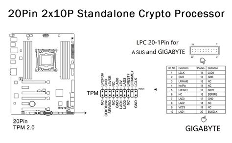 Tpm 2 0 Encryption Security Module 20pin Tpm Module For Win11 For Gigabyte For 2x10p Standalone