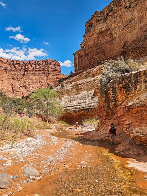 How To Hike The Sulphur Creek Top Down Trail In Capitol Reef National Park