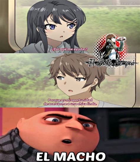 Seishun Buta Yarou Wa Bunny Girl Senpai No Yume Width Otaku Anime