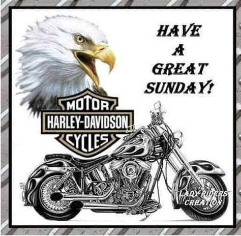 Hellacious Hot Rods And Harleys Facebook In 2025 Harley Davidson