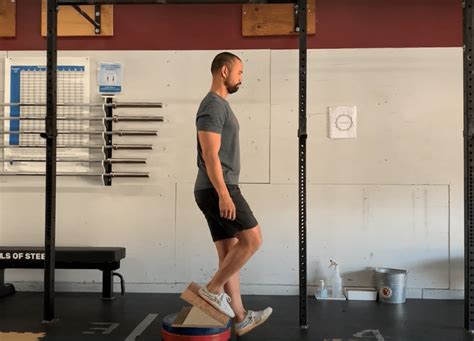 Step Ups Muscles Worked