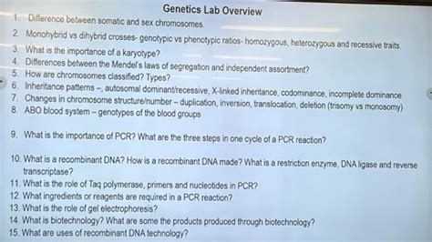 Solved Difference Between Somatic And Sex Chromosomes Chegg Com