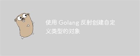 使用 Golang 反射创建自定义类型的对象 美云