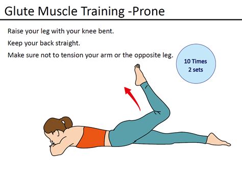 Lateral Flexion Exercises Of Torso Physio Visuals Illustrated