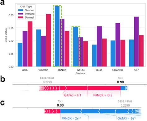 Figure 1 From Automated Cell Phenotyping For Imaging Mass Cytometry Semantic Scholar