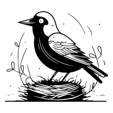 Crow In The Nest Vector Illustration Isolated On White Background