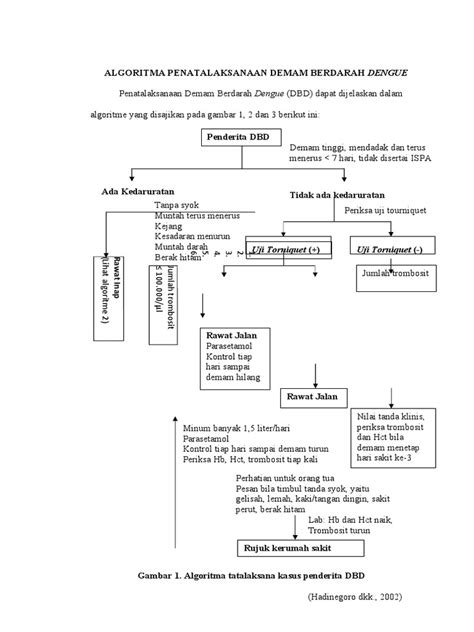 Algoritma Penatalaksanaan Demam Berdarah Dengue Pdf