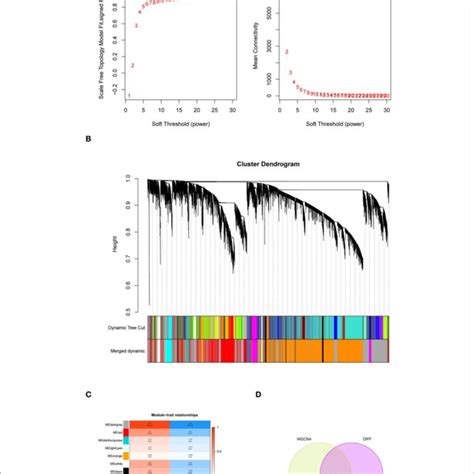 Figure Weighted Gene Co Expression Network Analysis Wgcna A Soft Download Scientific