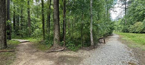 Apex Nature Park Loop North Carolina 119 Reviews Map Alltrails