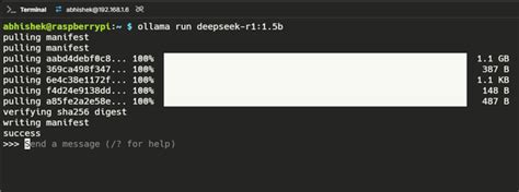 i ran deepseek r1 on raspberry pi 5 and no it wasn t 200 tokens s
