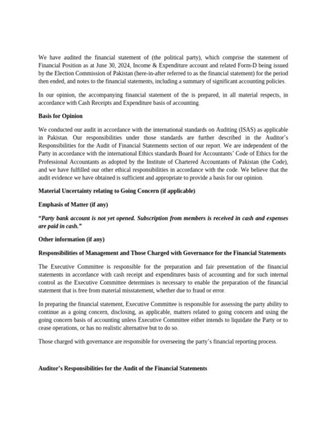 Audit Report Pdf Going Concern Audit