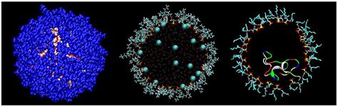 Figure 1 From Infrared Spectroscopy Of Proteins In Reverse Micelles Semantic Scholar