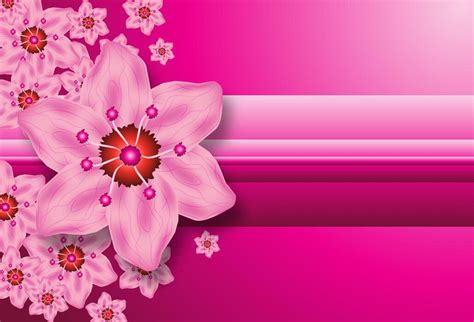 Pink Flower Background Vector Art Icons And Graphics For Free Download