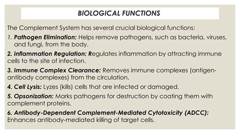 Complement System Immune System And Immunotechnology Ppt