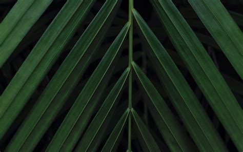 Sustainability And Value Creation Capgemini Australia