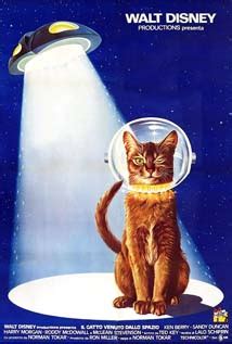 Cat In Space Film