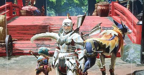 I Really Love The Aknosom Armor Imgur