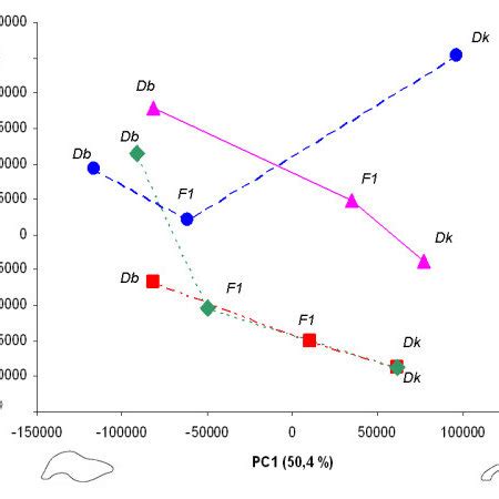 Hybrid Genital Shape Bivariate Plot Of Mean Shape Scores Of Each Download Scientific Diagram