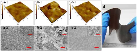 The Structure Of Membrane Selective Layer A P Membrane B Go P Download Scientific Diagram