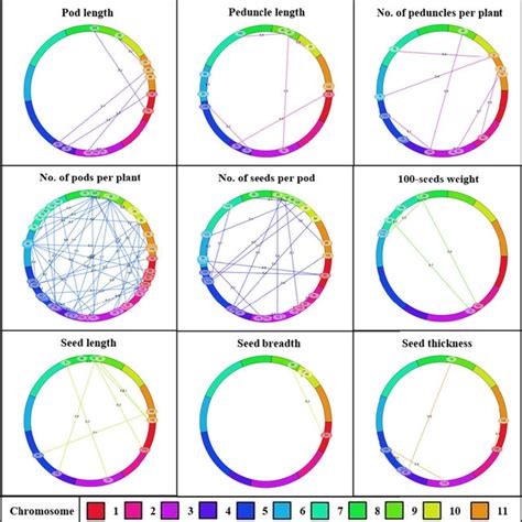 Cyclic Illustrations Of Epistatic Interactions Of Qtls Associated With Download Scientific