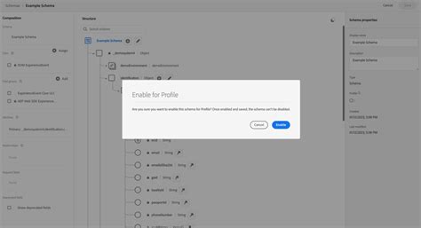 Ingest And Use Batch Data Adobe Customer Journey Analytics