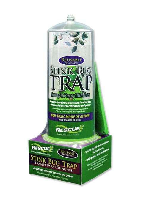 17 Best Images About Stink Bug Traps On Pinterest Indoor Bug Insect