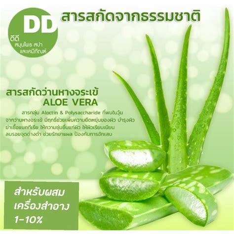 สารสกัดว่านหางจระเข้ Aloe Vera Extract วัตถุดิบสำหรับผลิตเครื่องสำอาง Shopee Thailand