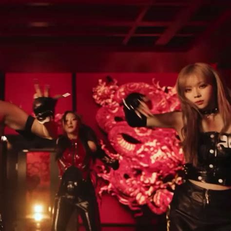 쩰이 쫄쫄이 입음 ㅁㅊ 제리 Jeri Xoxo