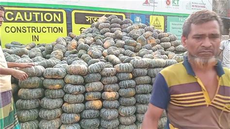 ঢাকার সবচেয়ে বড় পাইকারি কাচা শাক সবজির বাজার কারওয়ান বাজার। My Country Bangladesh Youtube