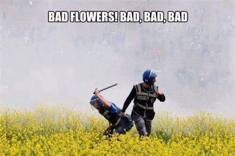 фото приколы новые и лучшие приколы самые смешные прикольные фотографии и юмор в картинках