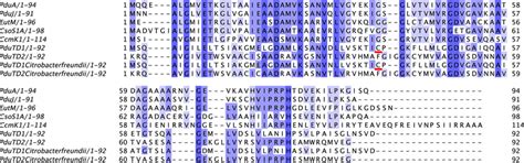 Protein Sequence Alignment Of Pdu Shell Proteins Sequences Of The Pdu Download Scientific