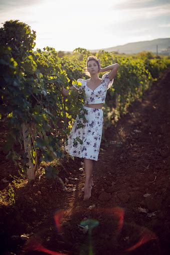 갈색 머리 여자 에 A 흰색 드레스 스탠드 에 A 포도원 에 여름 에 이탈리아 20 29세에 대한 스톡 사진 및 기타 이미지 20 29세 갈색 머리 검사 보기