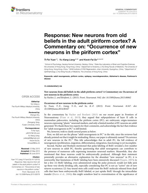 Pdf Response New Neurons From Old Beliefs In The Adult Piriform Cortex A Commentary On