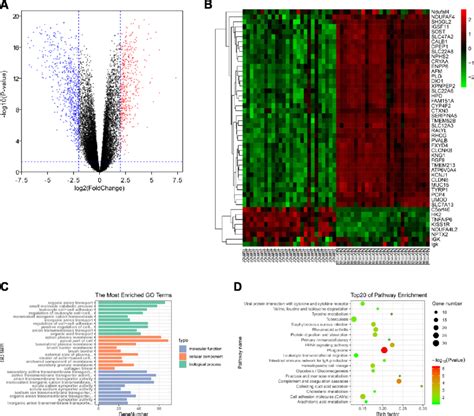 identification of degs and functional annotation a the degs were
