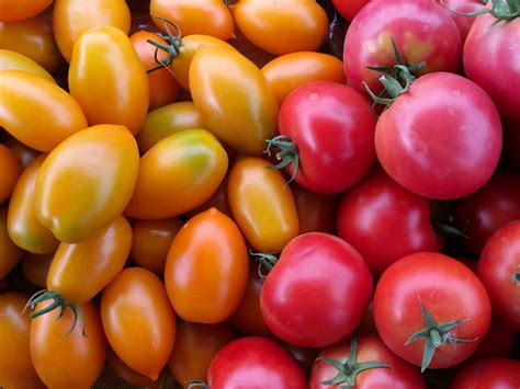 Z S Vārpas Home Production Tourism In Jelgava And Jelgava County