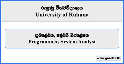 Programmer System Analyst University Of Ruhuna Vacancies 2024