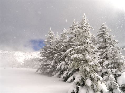 Blizzard By さとのか （id：11570457） 写真共有サイト Photohito