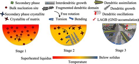 3d Printed Alloy Microstructures Analyzed Via X Rays 3d Printing