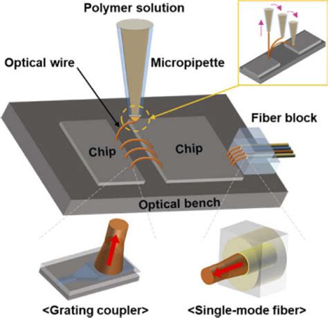 Architecture Of Chip To Chip And Chip To Fiber Interconnections Using Download Scientific