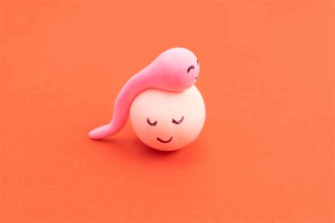 What Happens If Your Sperm Count Is