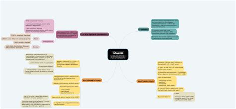 Neoclassicismo E Preromanticismo Mappa Concettuale Studentiit