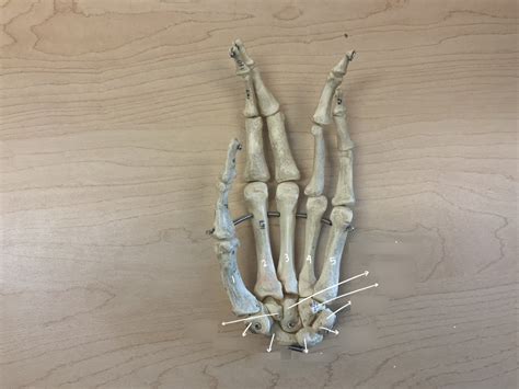 Diagram Of Lab 3 K Quizlet