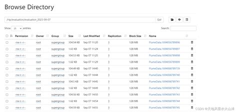 一百七十三、flume——flume写入hdfs后的诸多小文件问题 Ew帮帮网